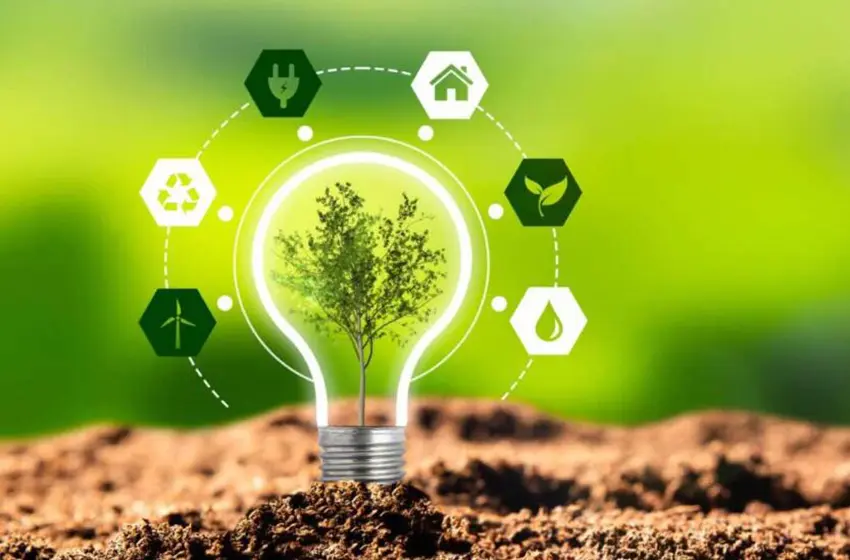 30 Environmental Science Quiz Questions And Answers OnlineExamMaker Blog