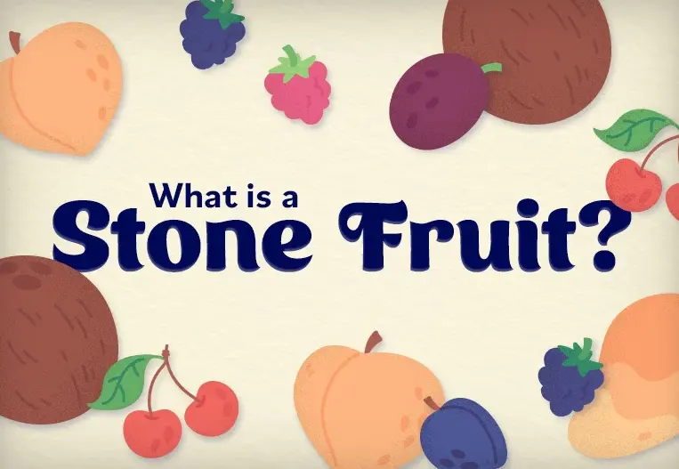 20 Stone Fruits Quiz Questions and Answers - OnlineExamMaker Blog